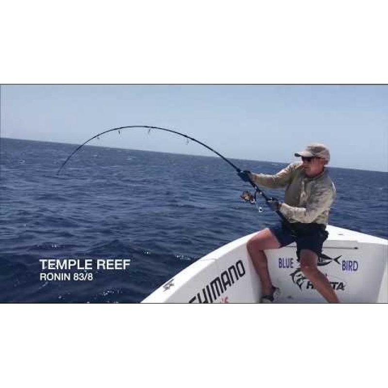 Temple Reef Ronin 83-8 Stickbait / Popping Rod