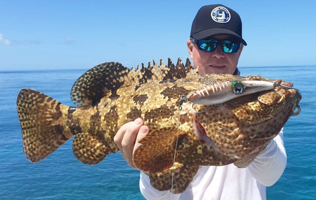 About Us - Elite Fishing Tackle Shop | Topwater & Jigging Specialists