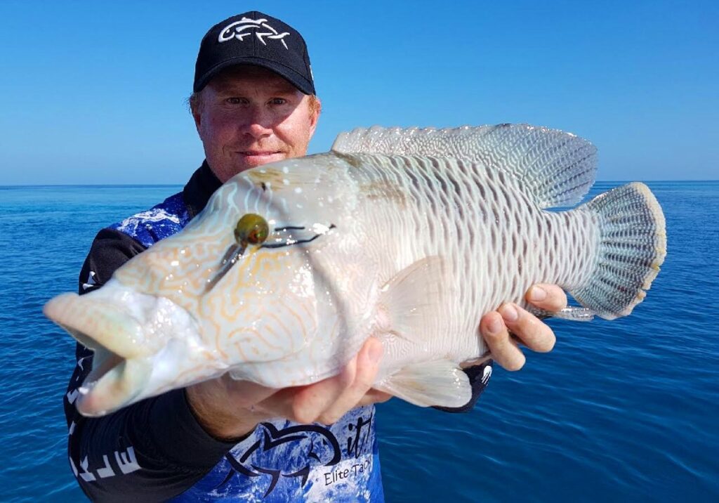 About Us - Elite Fishing Tackle Shop | Topwater & Jigging Specialists